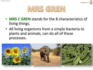 Mr Exham IGCSE Biology - Cells | PPTX