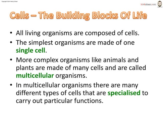 Mr Exham IGCSE Biology - Cells | PPTX