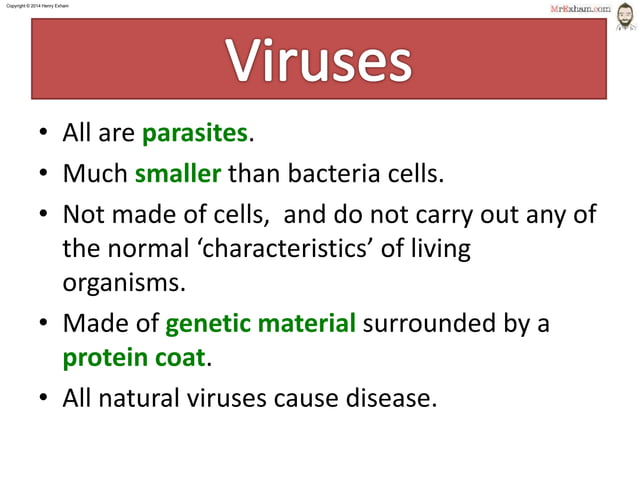 Mr Exham IGCSE - Classification | PPTX | Biological Sciences | Science