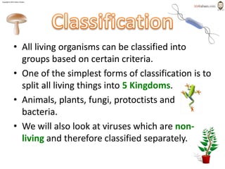 Mr Exham IGCSE - Classification | PPTX
