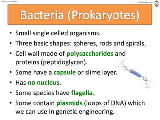 Mr Exham IGCSE - Classification | PPTX