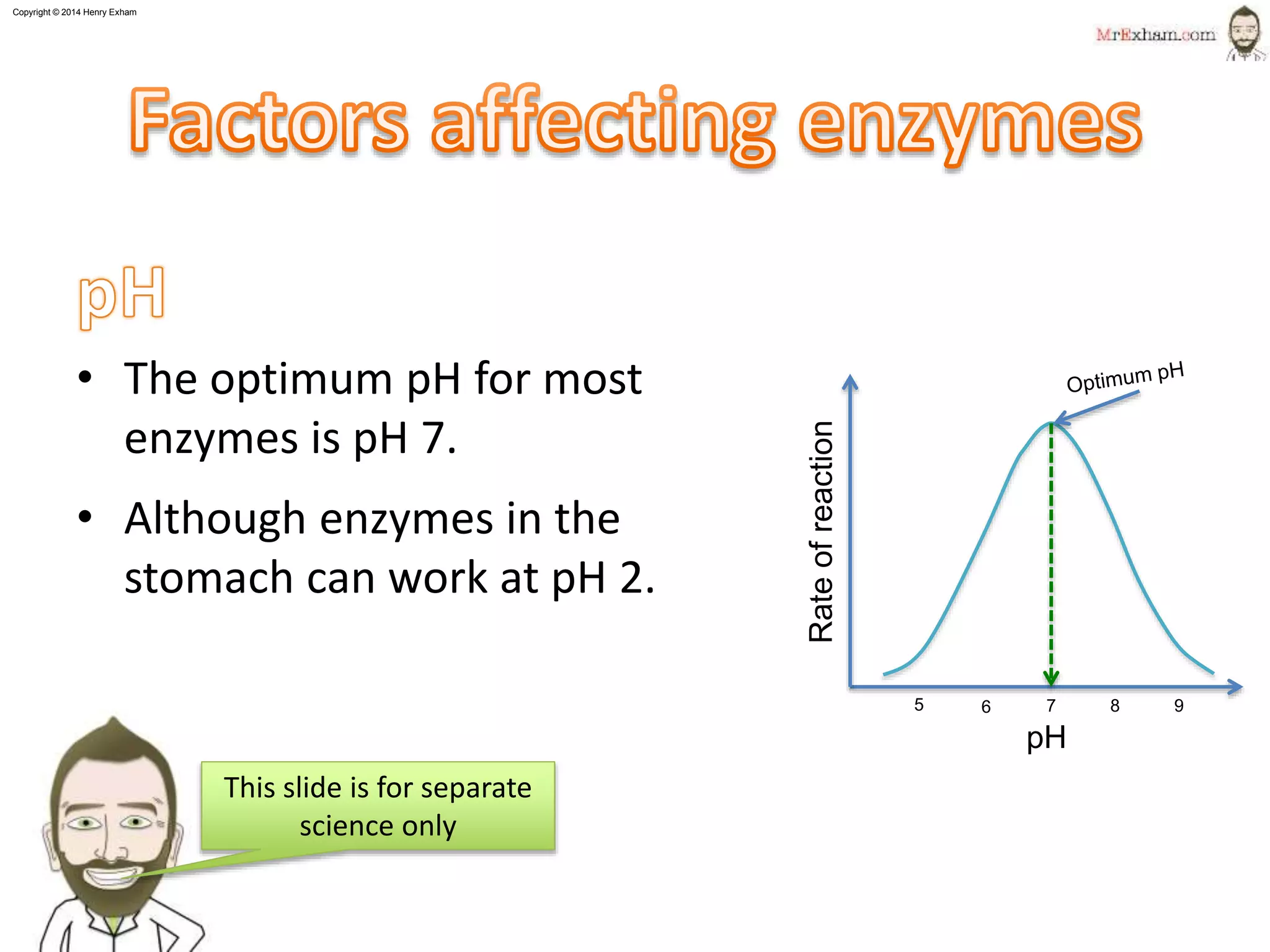 Mr Exham IGCSE Biology - Enzymes | PPTX