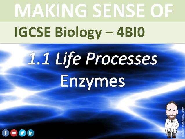 Mr Exham Igcse Biology Enzymes
