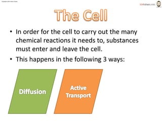 Mr Exham IGCSE - Movement In And Out Of Cells | PPTX