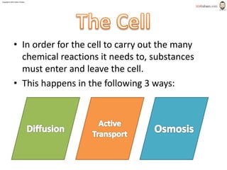 Mr Exham IGCSE - Movement In And Out Of Cells | PPTX