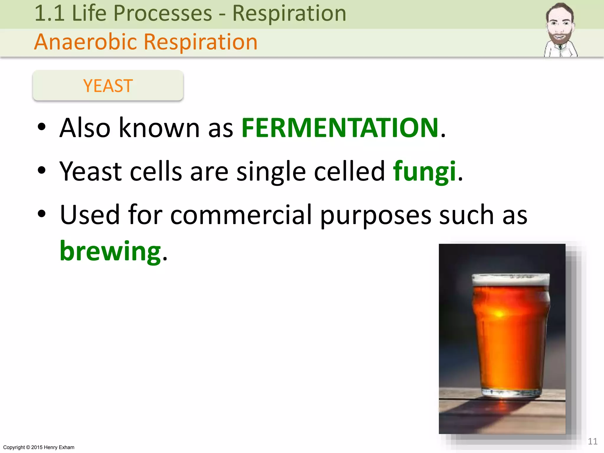 Mr Exham IGCSE - Respiration | PPTX