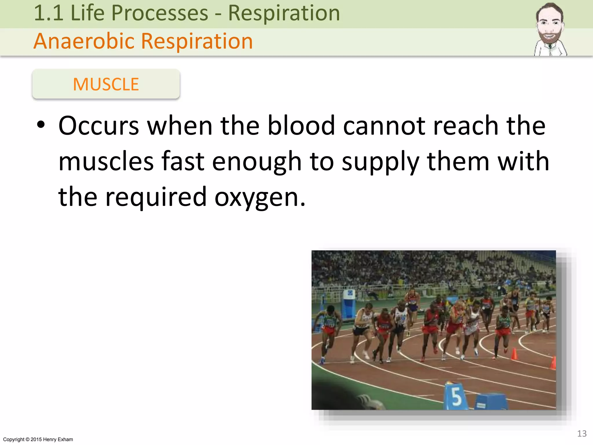 Mr Exham IGCSE - Respiration | PPTX