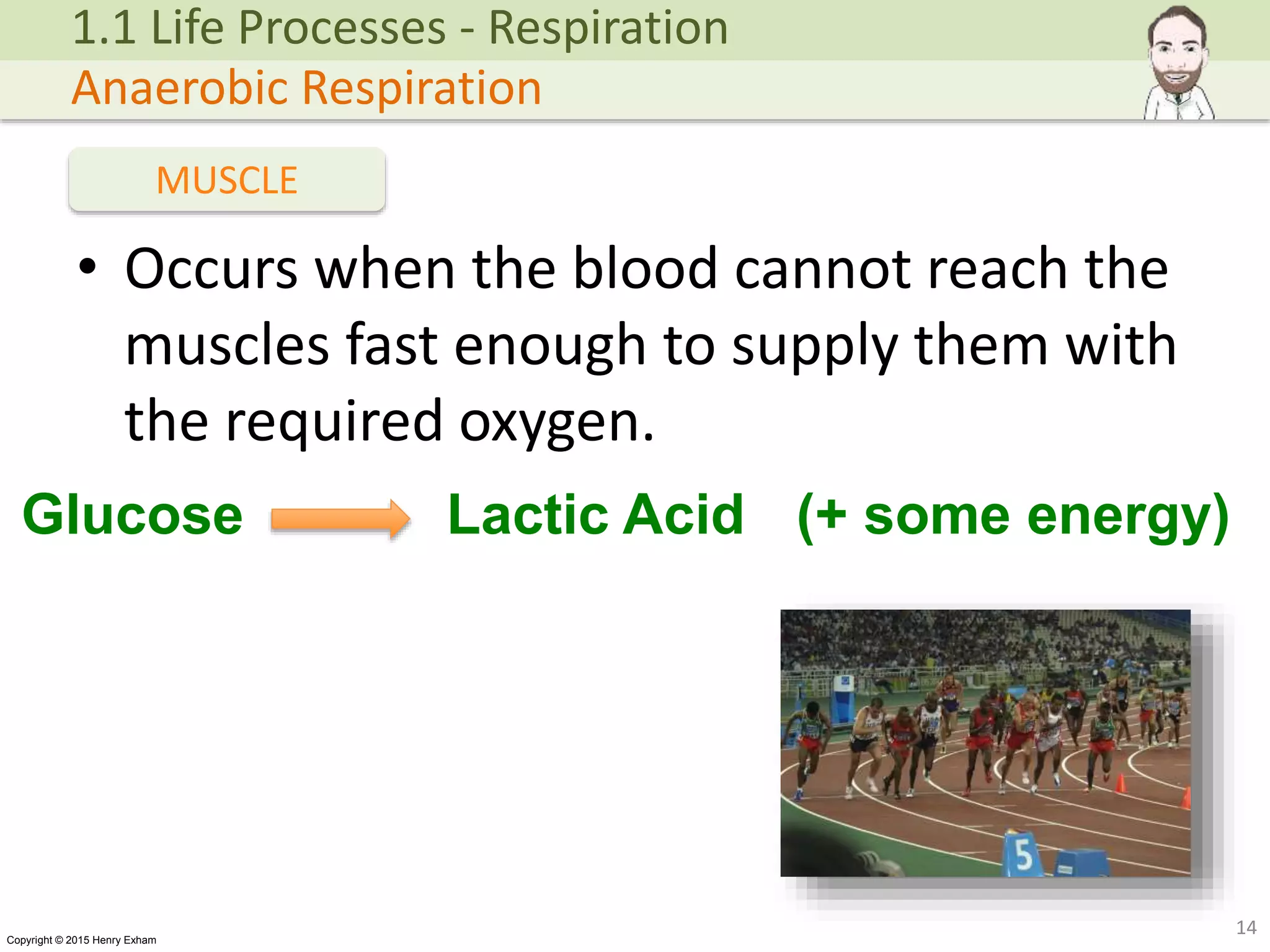 Mr Exham IGCSE - Respiration | PPTX