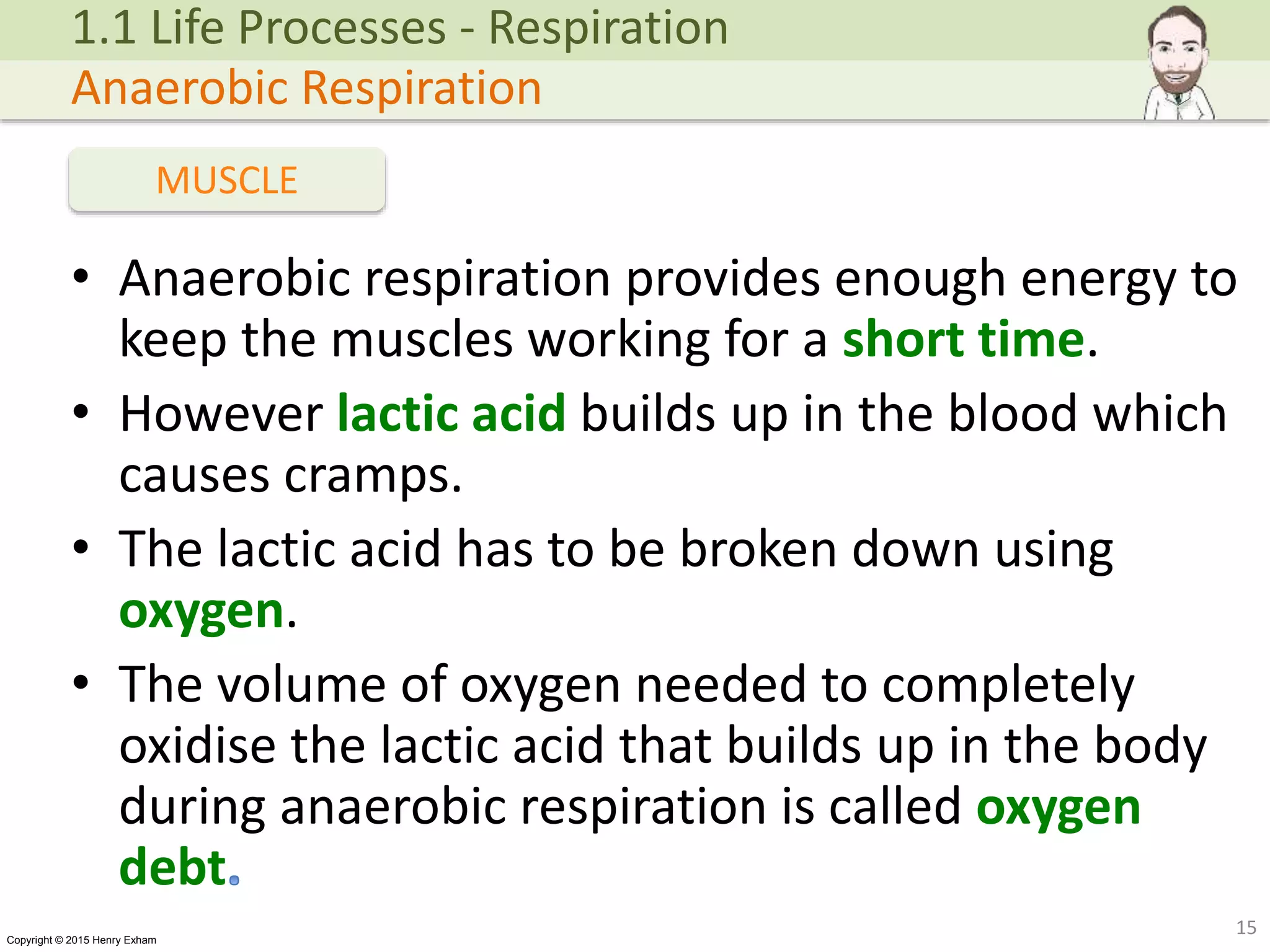 Mr Exham IGCSE - Respiration | PPTX