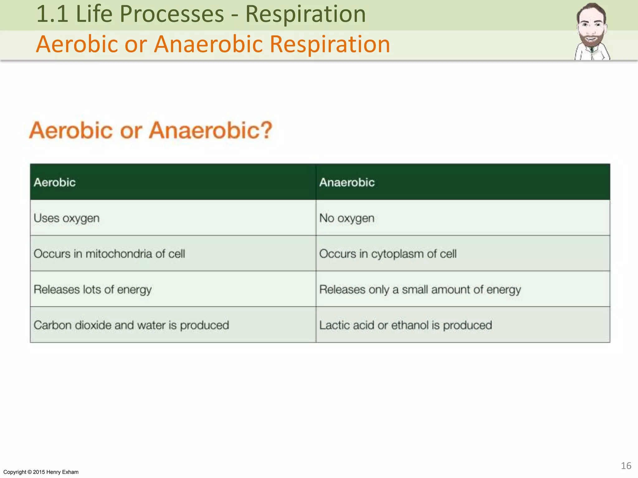 Mr Exham IGCSE - Respiration | PPTX