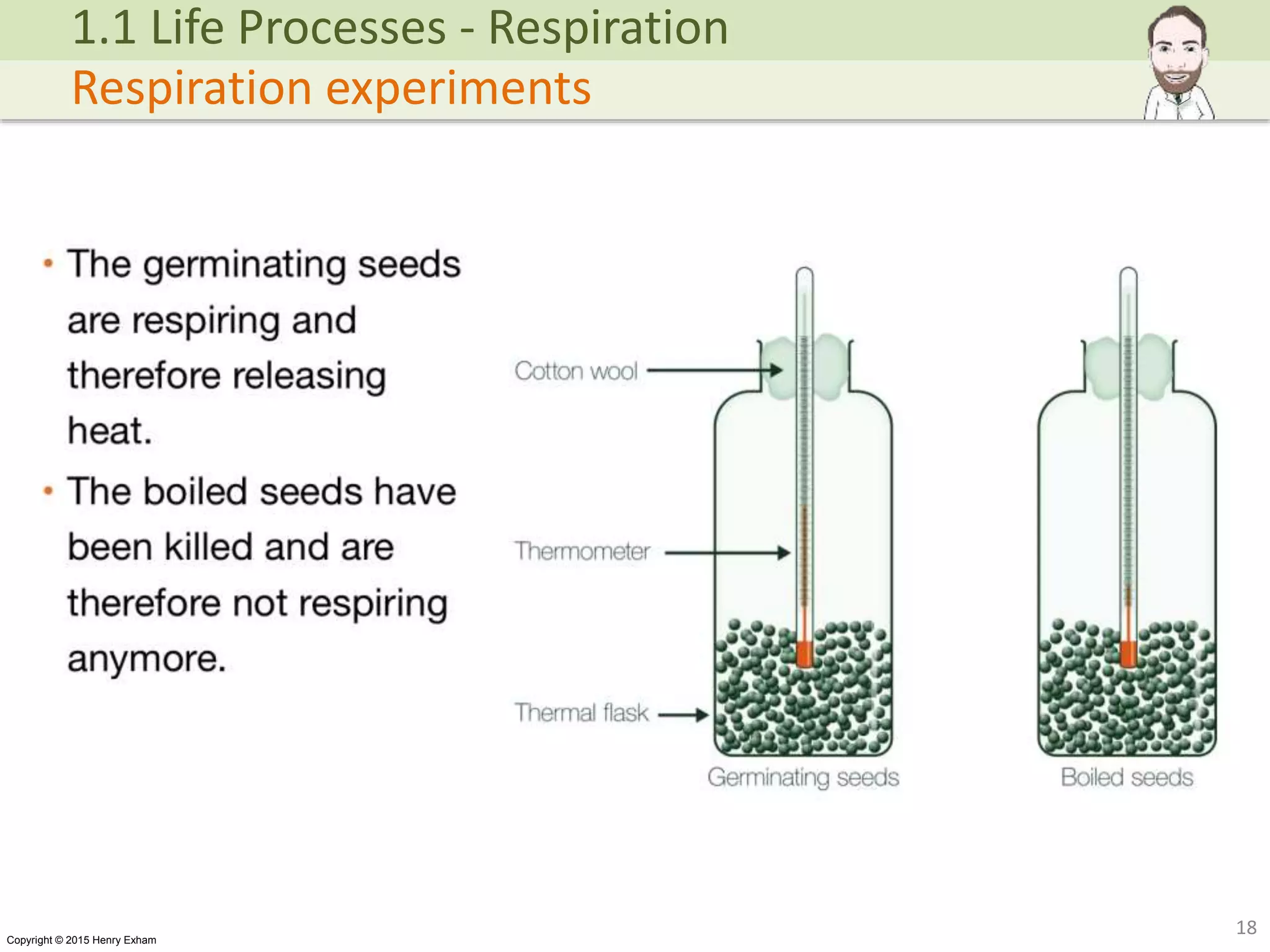 Mr Exham IGCSE - Respiration | PPTX