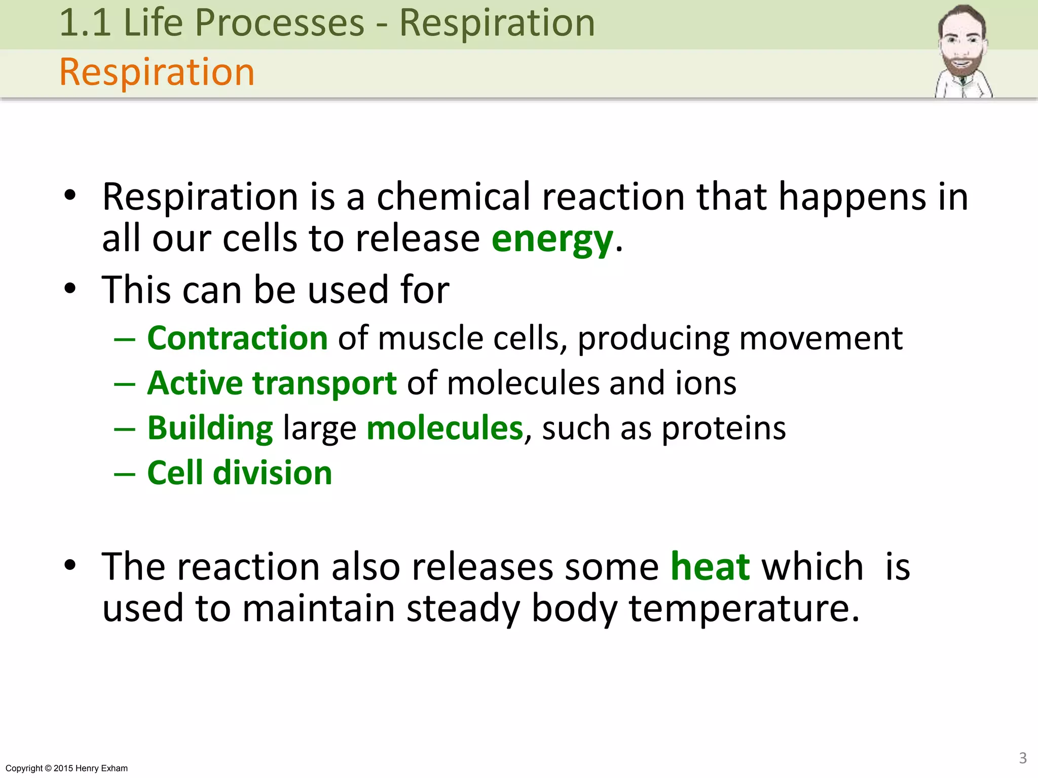Mr Exham IGCSE - Respiration | PPTX