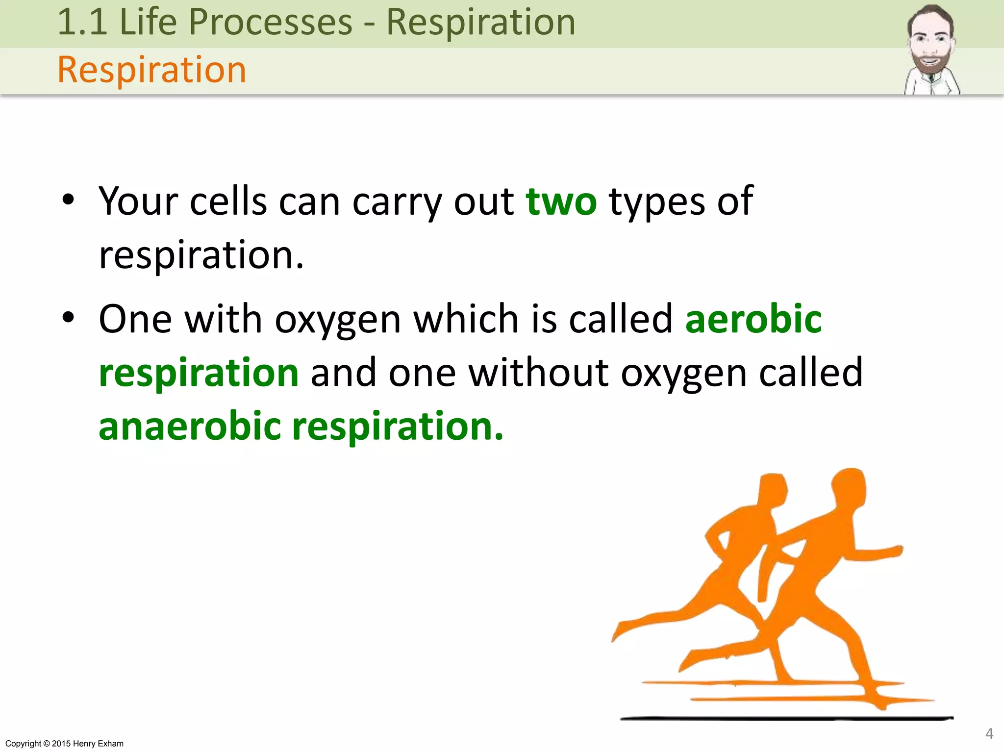 Mr Exham IGCSE - Respiration | PPTX