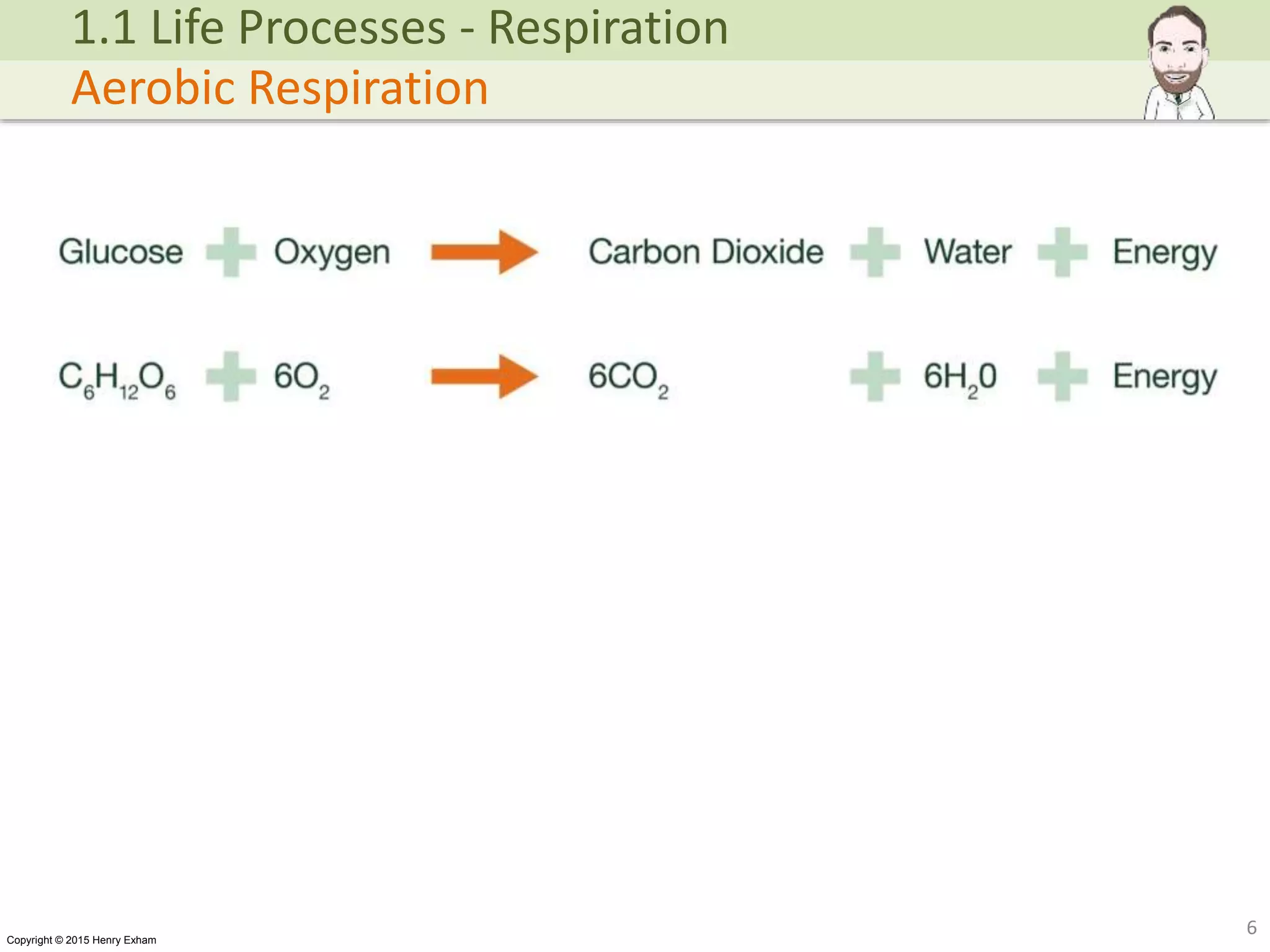 Mr Exham IGCSE - Respiration | PPTX