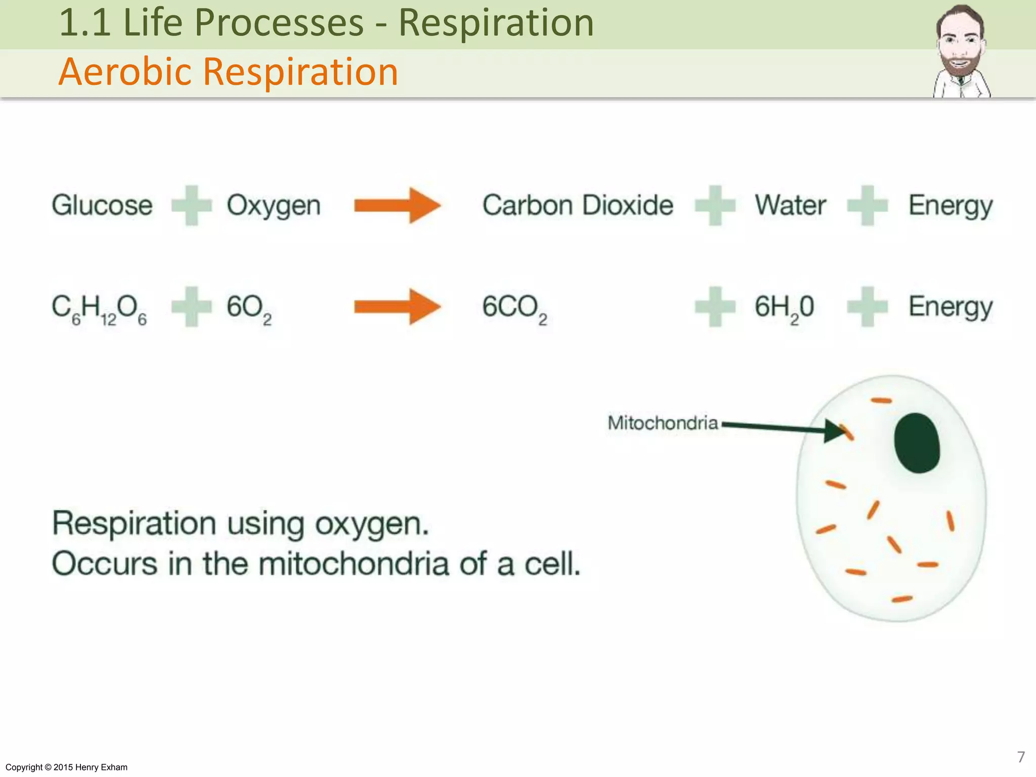 Mr Exham IGCSE - Respiration | PPT