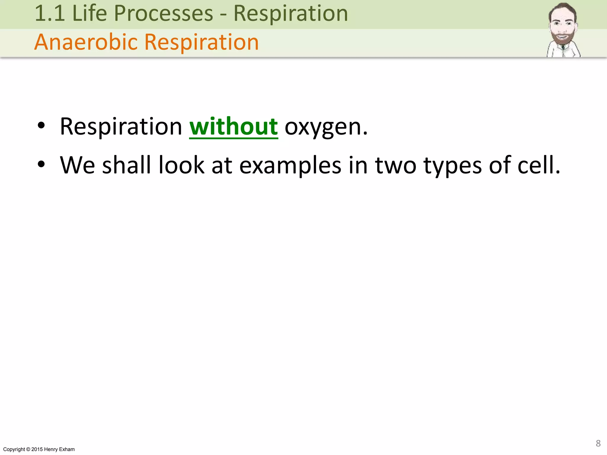 Mr Exham IGCSE - Respiration | PPTX
