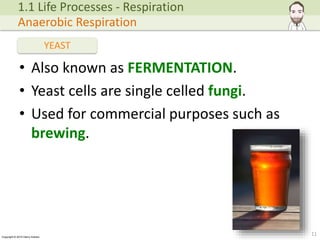 Mr Exham IGCSE - Respiration | PPTX
