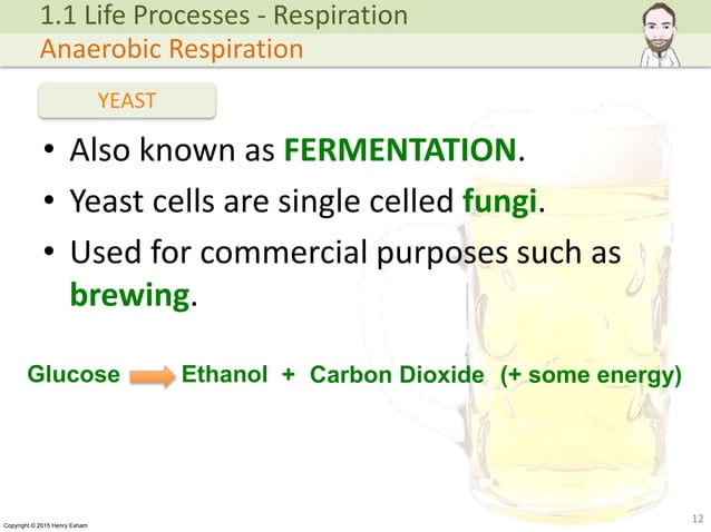 Mr Exham IGCSE - Respiration | PPTX | Chemistry | Science