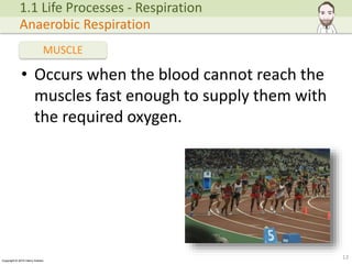 Mr Exham IGCSE - Respiration | PPTX