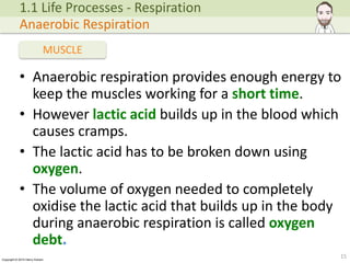 Mr Exham IGCSE - Respiration | PPTX