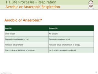 Mr Exham IGCSE - Respiration | PPTX