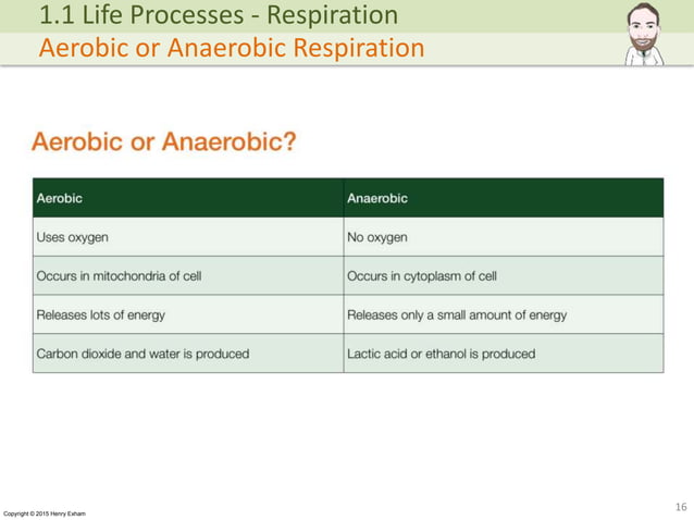 Mr Exham IGCSE - Respiration | PPTX | Chemistry | Science