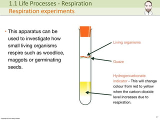Mr Exham IGCSE - Respiration | PPTX