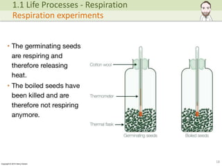 Mr Exham IGCSE - Respiration | PPTX