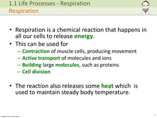 Mr Exham IGCSE - Respiration | PPTX