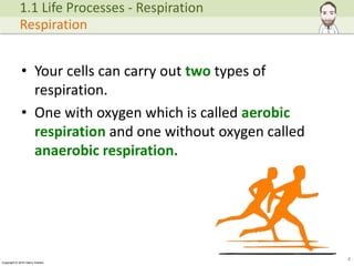 Mr Exham IGCSE - Respiration | PPTX