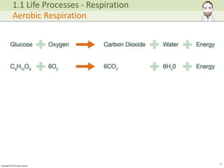 Mr Exham IGCSE - Respiration | PPTX