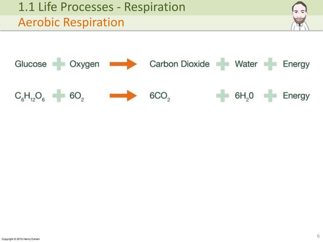 Mr Exham IGCSE - Respiration | PPTX | Chemistry | Science