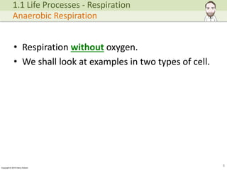 Mr Exham IGCSE - Respiration | PPTX