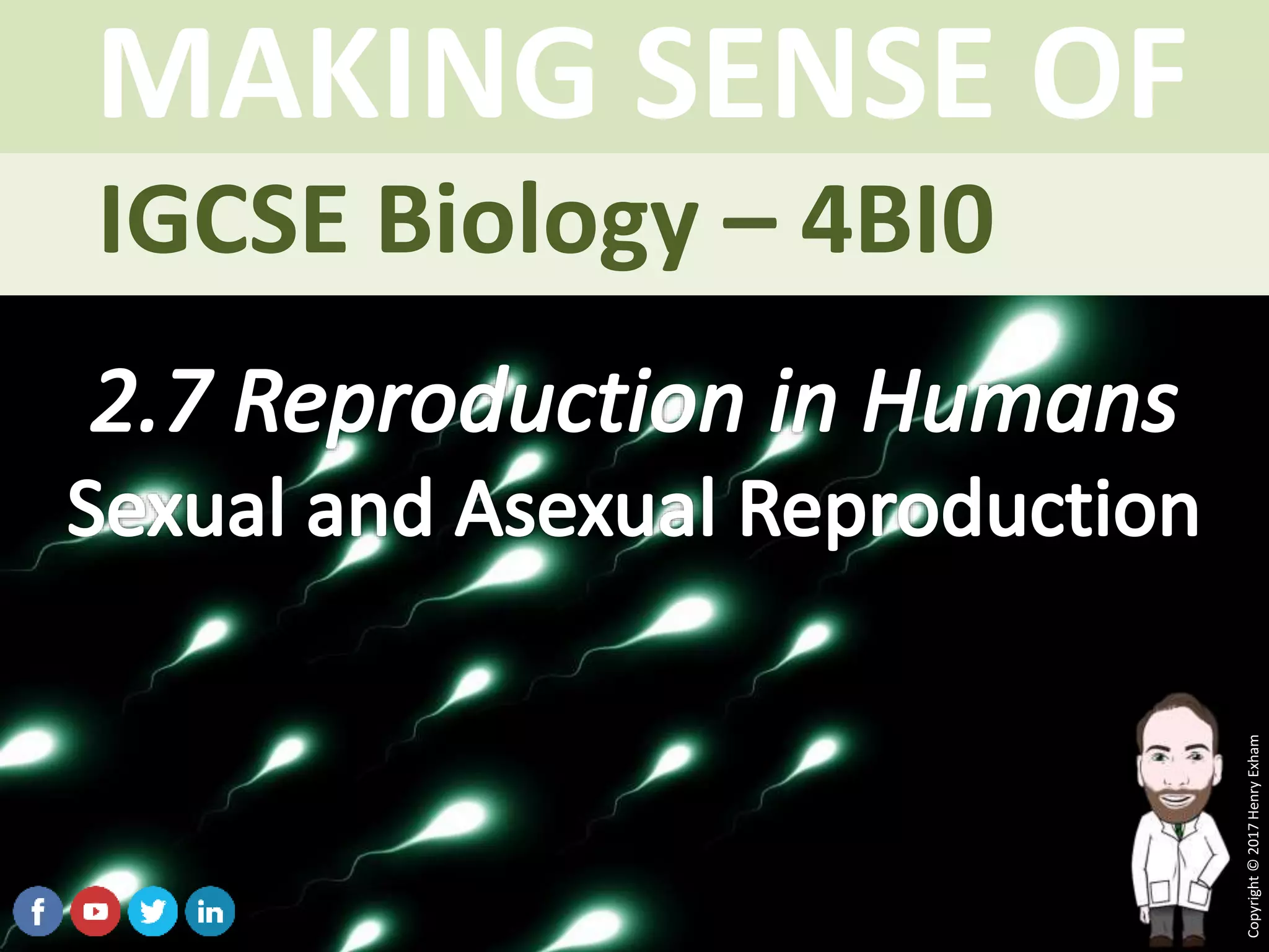 Igcse Biology Sexual And Asexual Reproduction