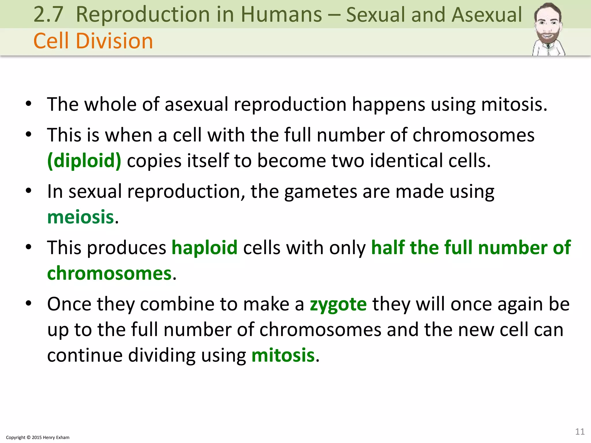 IGCSE Biology - Sexual and Asexual Reproduction | PPTX