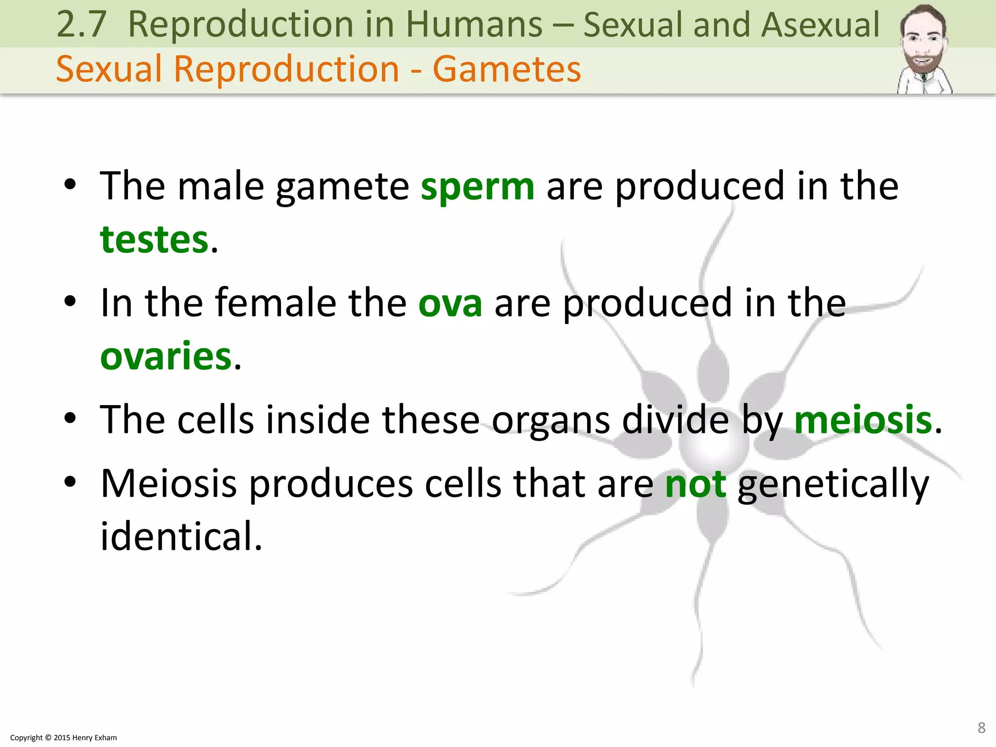 IGCSE Biology - Sexual and Asexual Reproduction | PPTX