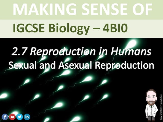 Igcse Biology Sexual And Asexual Reproduction Pptx