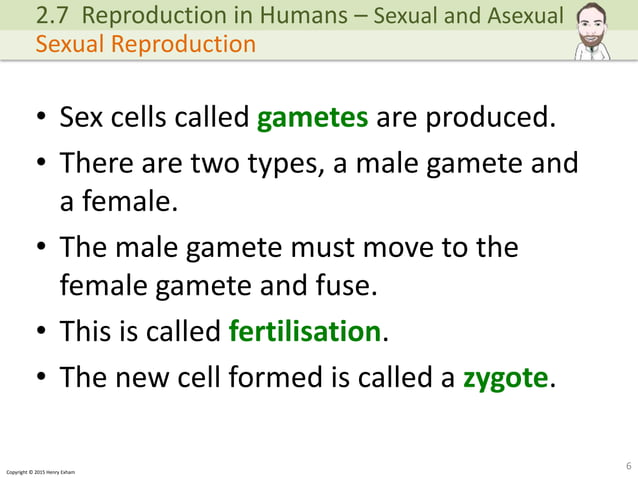 IGCSE Biology - Sexual and Asexual Reproduction | PPTX