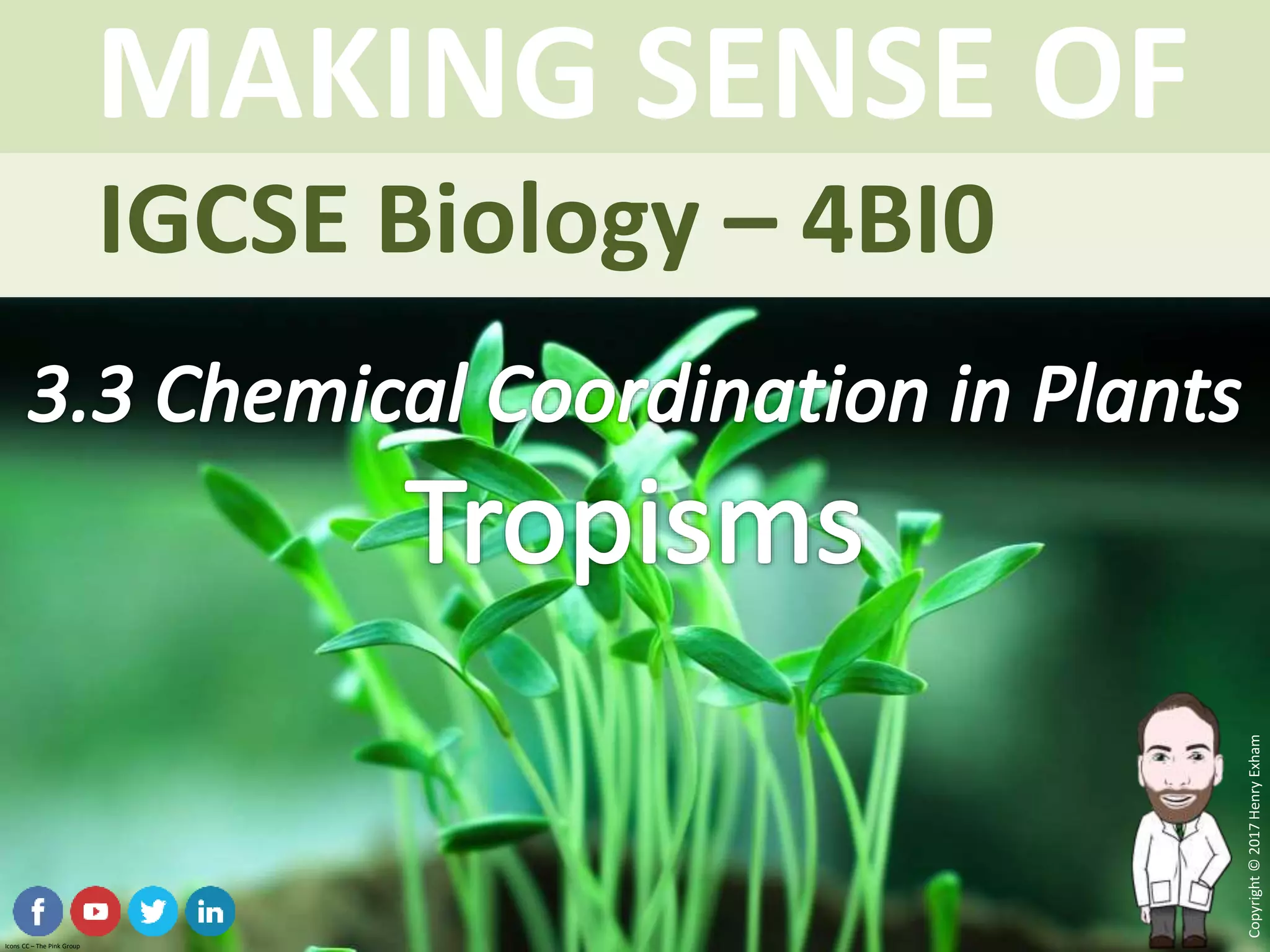 IGCSE Biology - Chemical Coordination in Plants | PPTX