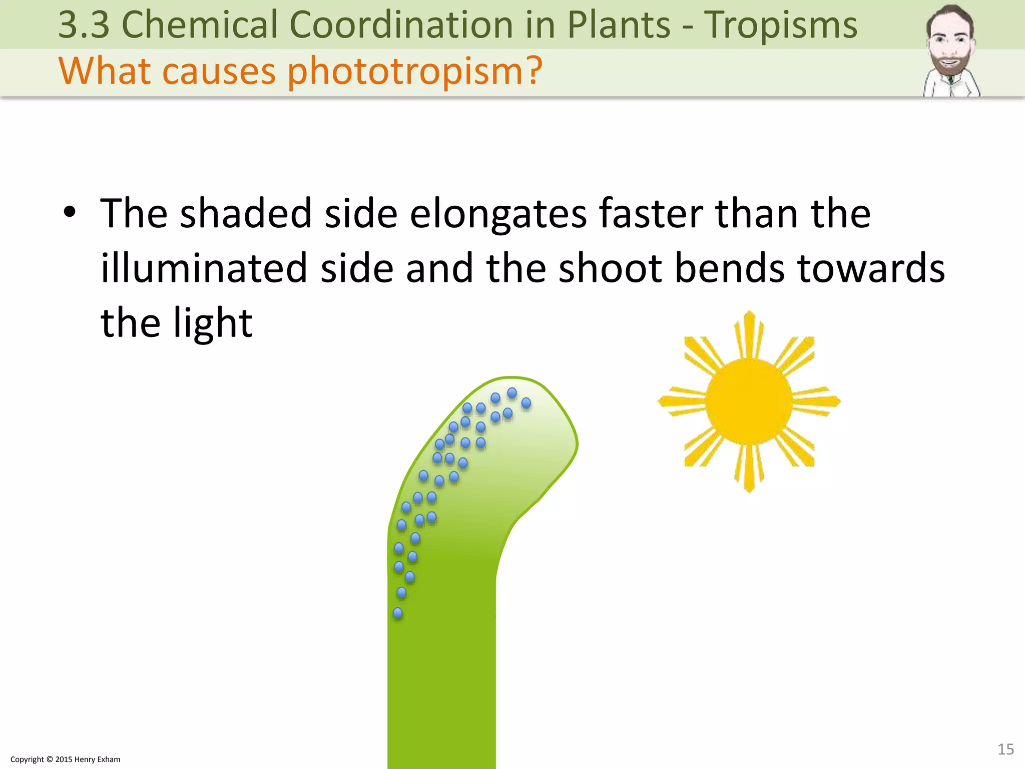 IGCSE Biology - Chemical Coordination in Plants | PPTX