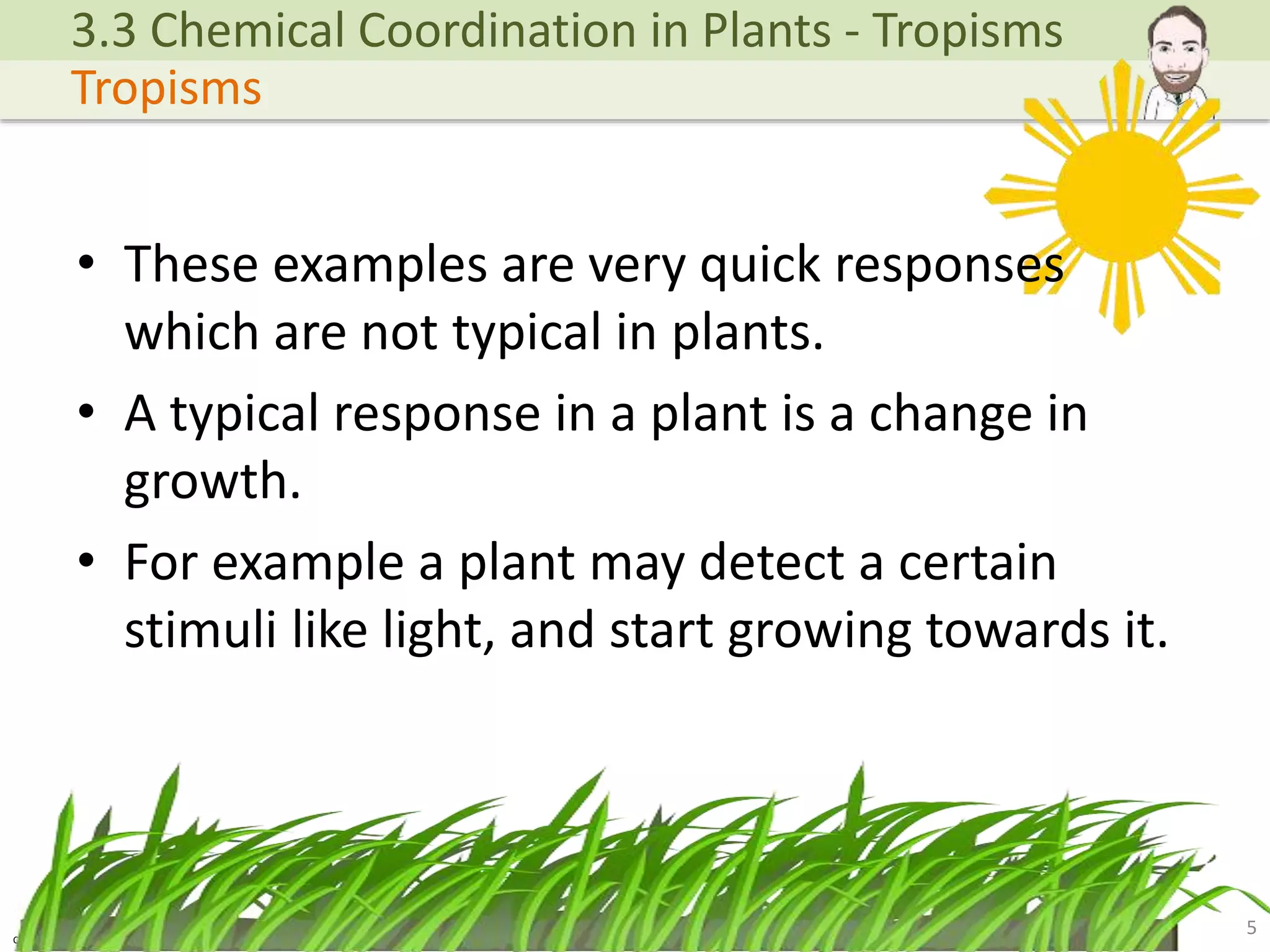 IGCSE Biology - Chemical Coordination in Plants | PPTX