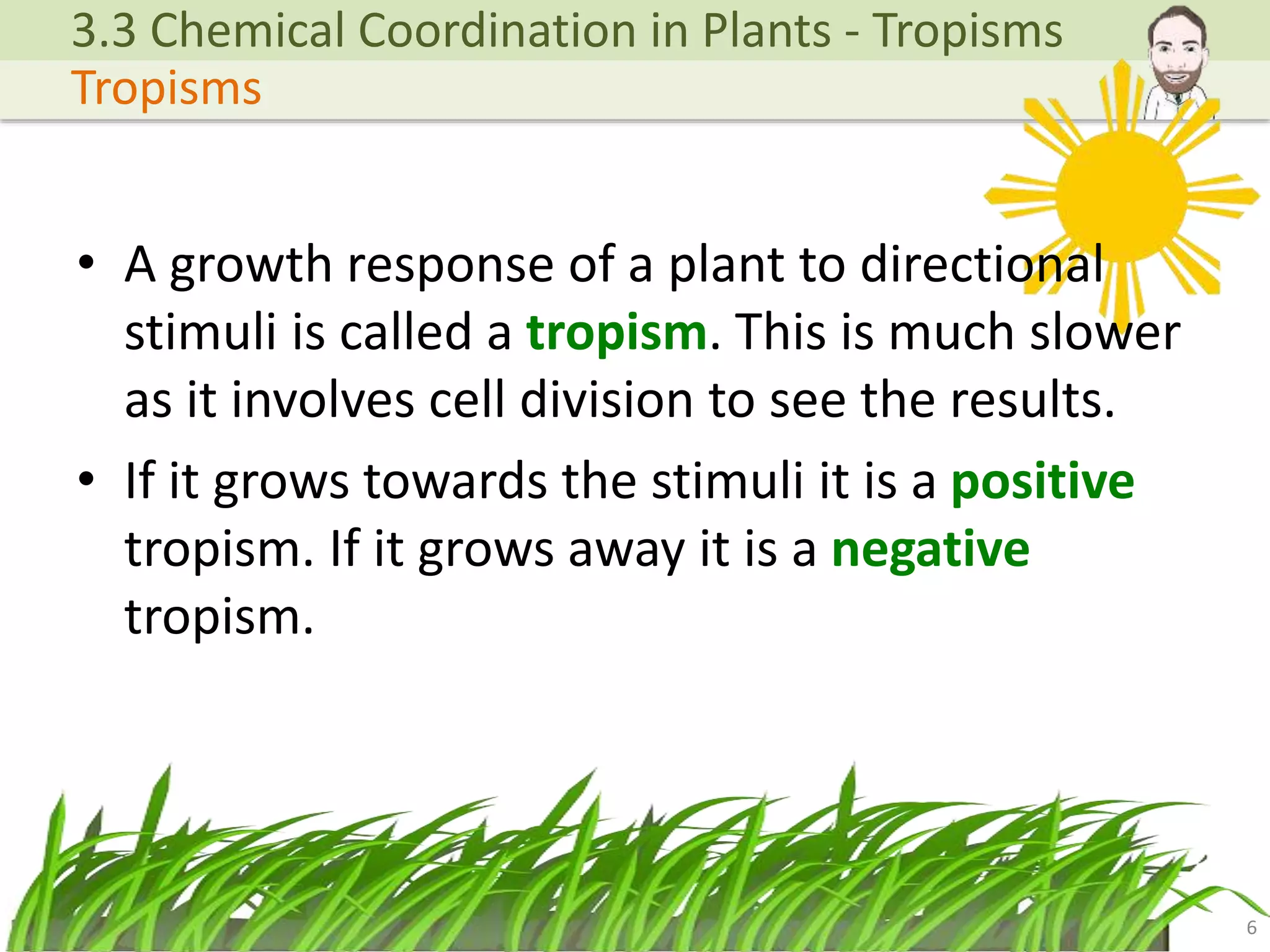 IGCSE Biology - Chemical Coordination in Plants | PPTX | Biological ...