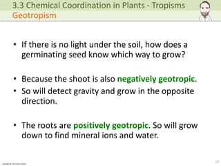 IGCSE Biology - Chemical Coordination in Plants | PPTX