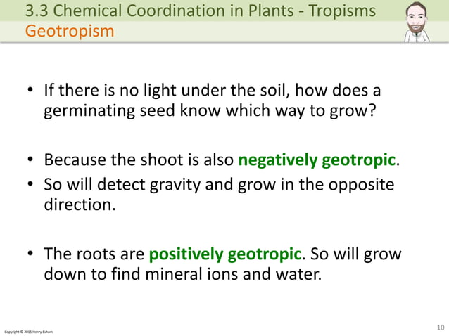 IGCSE Biology - Chemical Coordination in Plants | PPTX | Biological ...