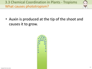 IGCSE Biology - Chemical Coordination in Plants | PPTX
