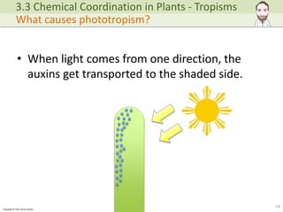 IGCSE Biology - Chemical Coordination in Plants | PPTX | Biological ...