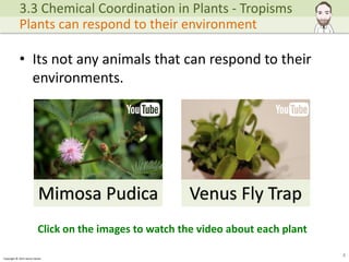 IGCSE Biology - Chemical Coordination in Plants | PPTX