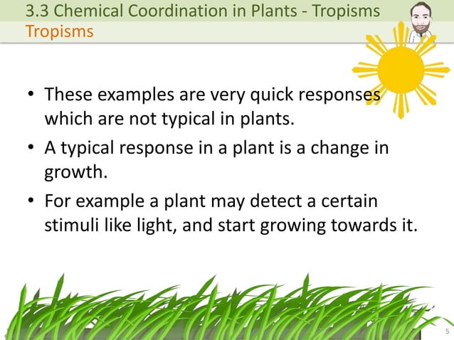 IGCSE Biology - Chemical Coordination in Plants | PPTX | Biological ...