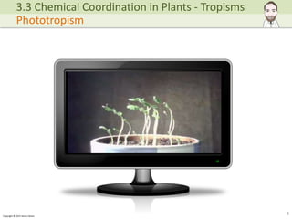 IGCSE Biology - Chemical Coordination in Plants | PPTX