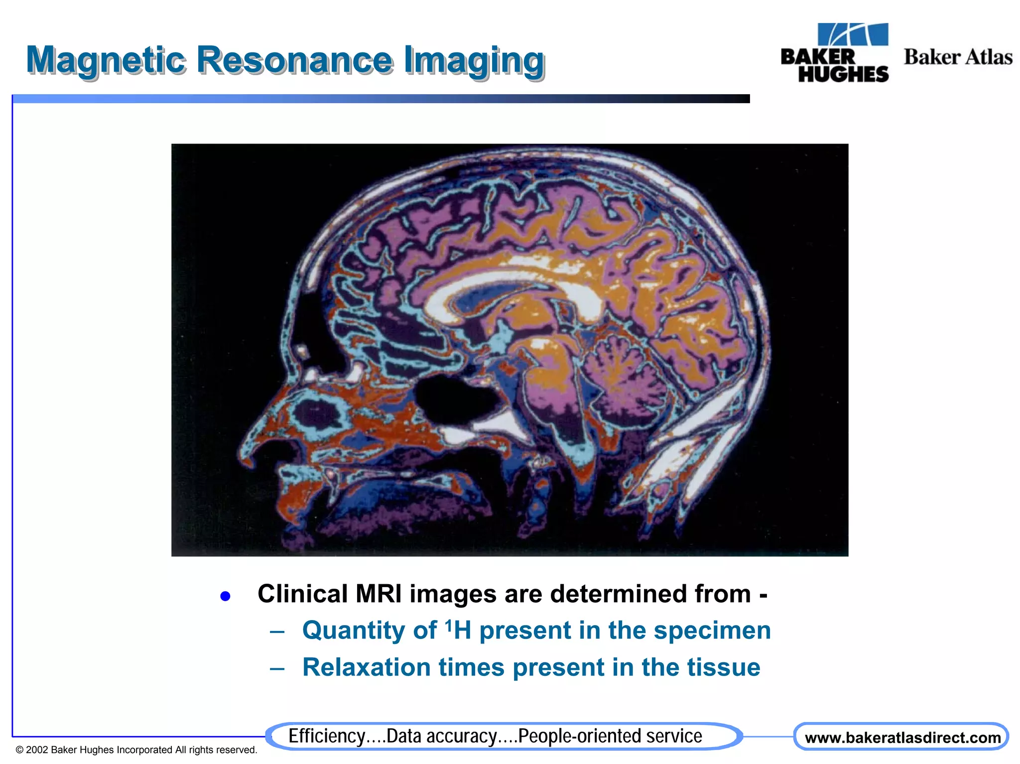 MREX (NMR Logging) | PDF